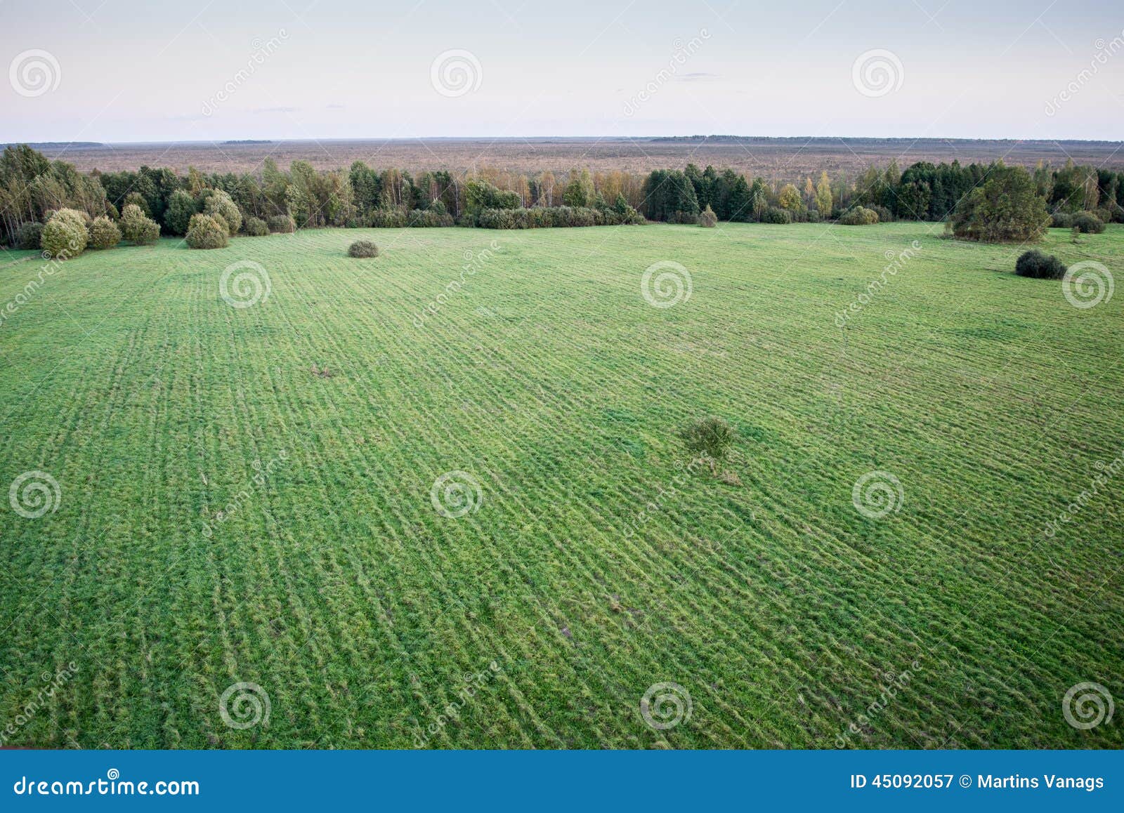 Green Fields Aerial View from View Tower Editorial Photography - Image ...
