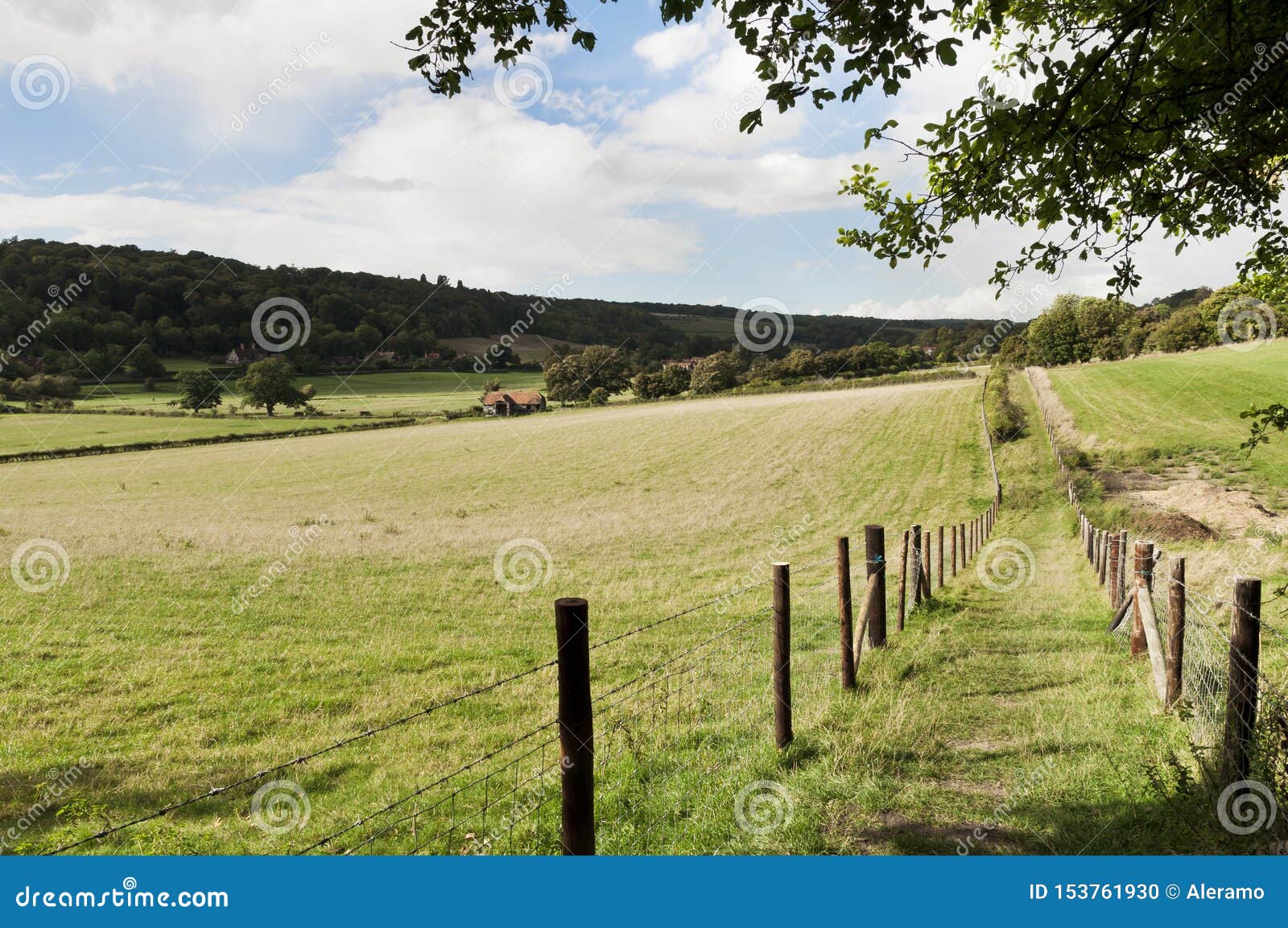 Green Fields in British Countryside Stock Photo - Image of farming ...