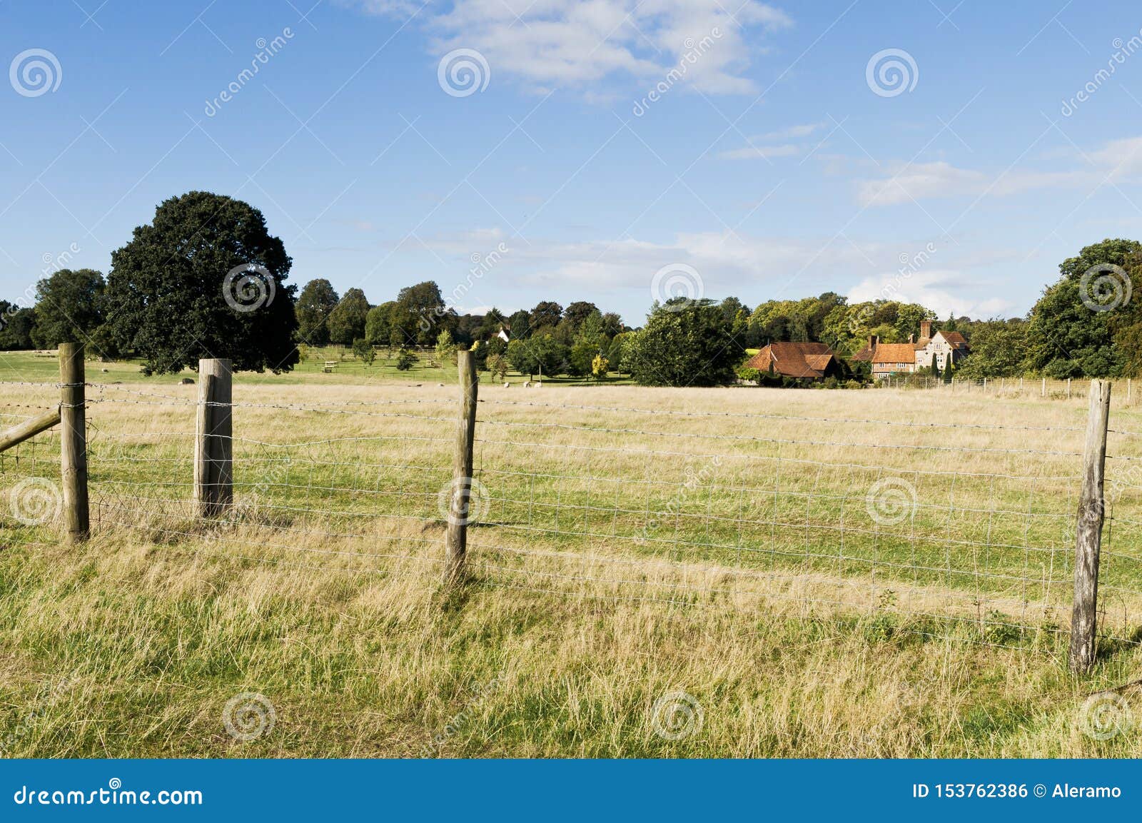 Green Fields in British Countryside Stock Photo - Image of cumbria ...