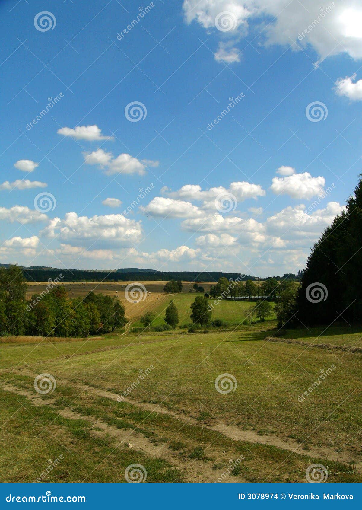 Green Fields in Countryside Stock Photo - Image of fields, peaceful ...