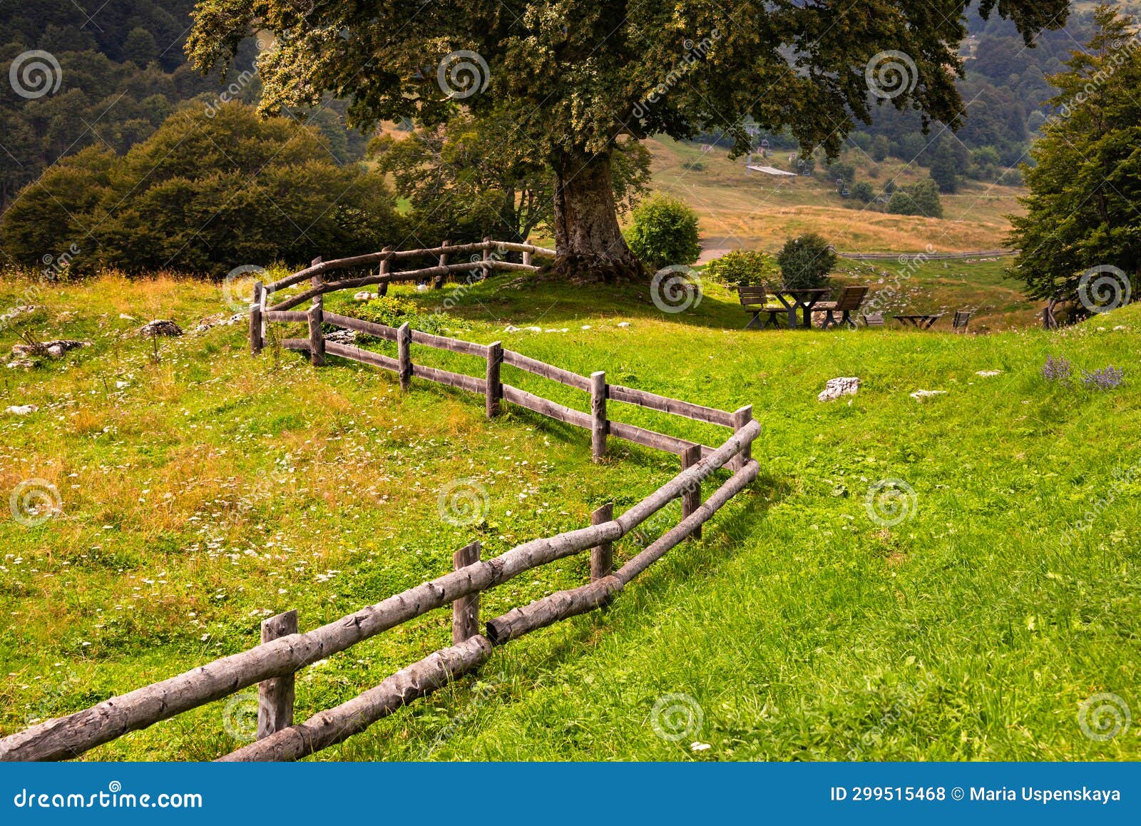 Green Fields and Farmlands with Wooden Fence Stock Photo - Image of ...