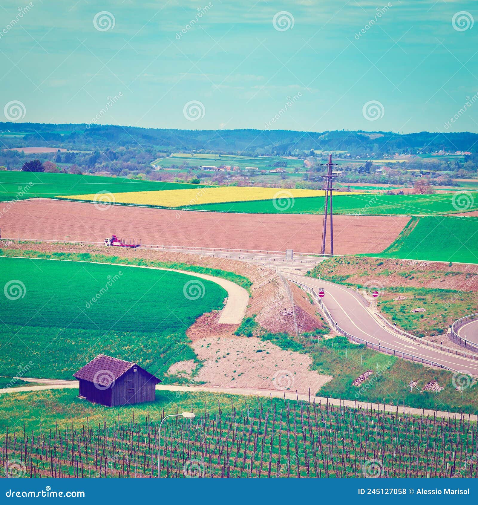 Green Fields on the Slopes of the Swiss Alps Stock Photo - Image of ...