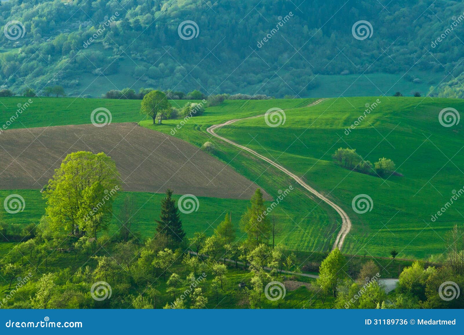 Green fields stock photo. Image of road, exterior, landscape - 31189736