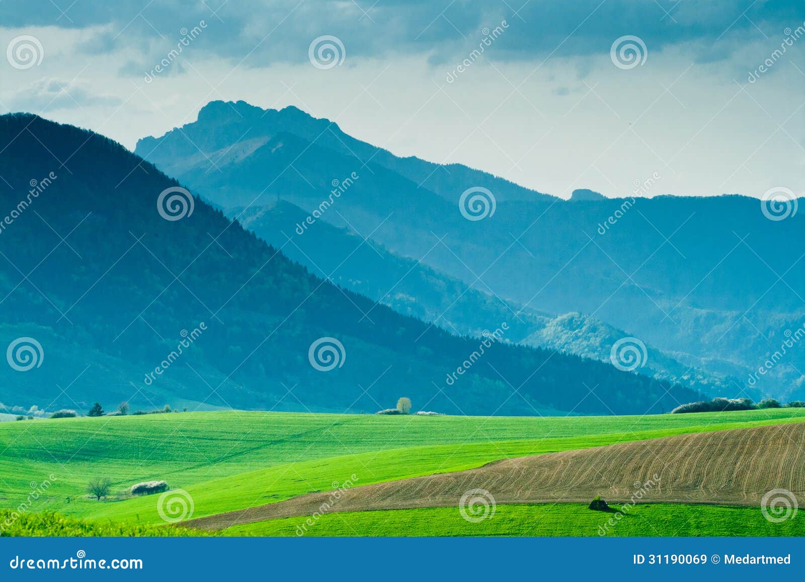 Green fields stock image. Image of tourism, forest, green - 31190069