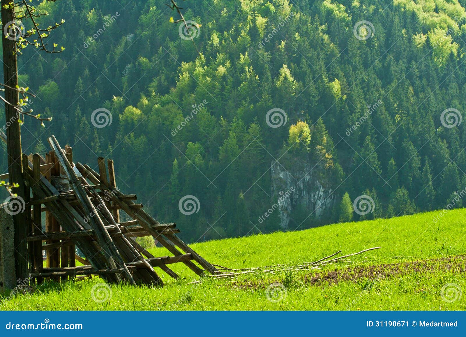 Green fields stock image. Image of mountain, forest, landscape - 31190671