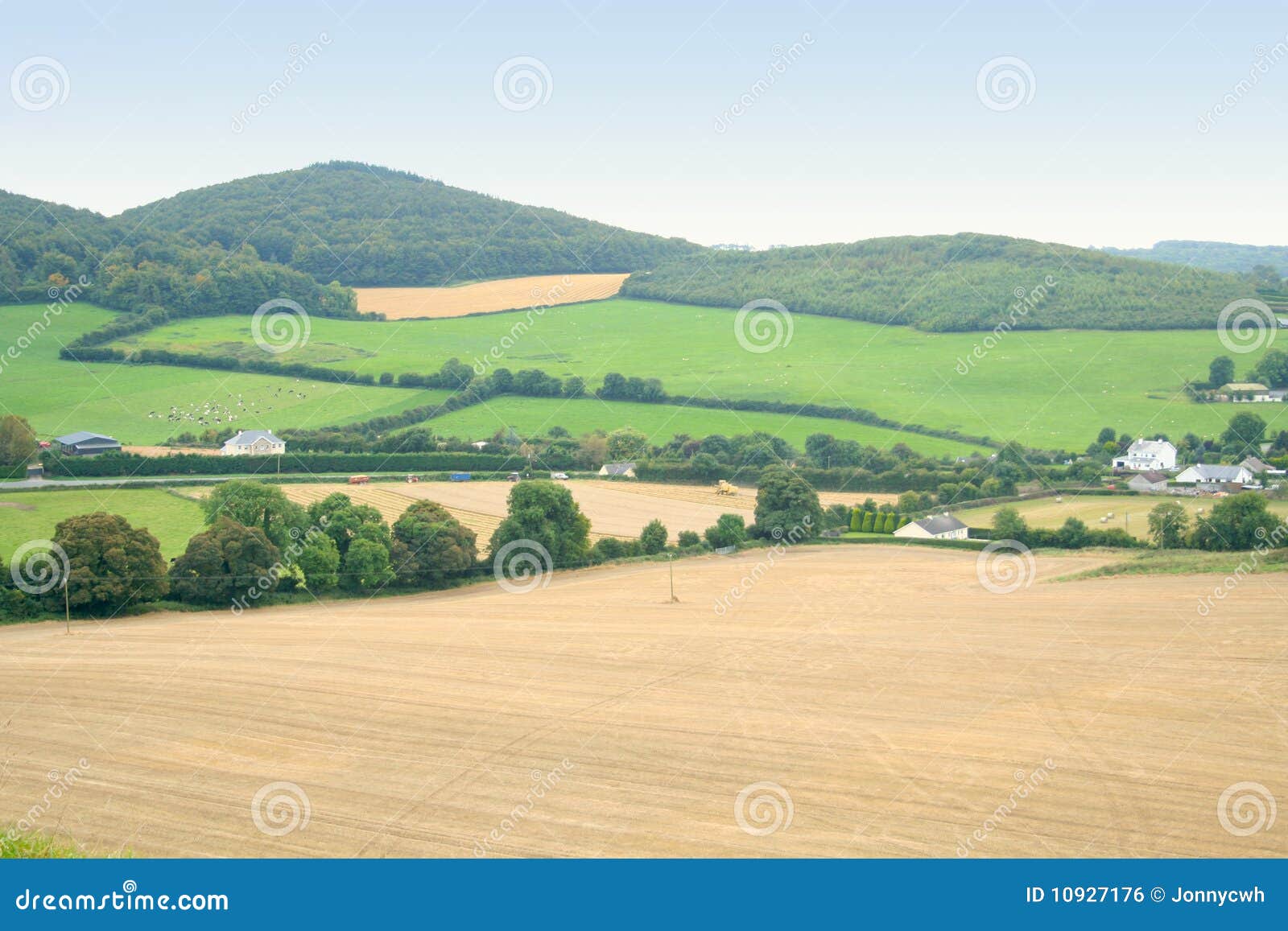 Green Fields of Ireland stock photo. Image of forest - 10927176