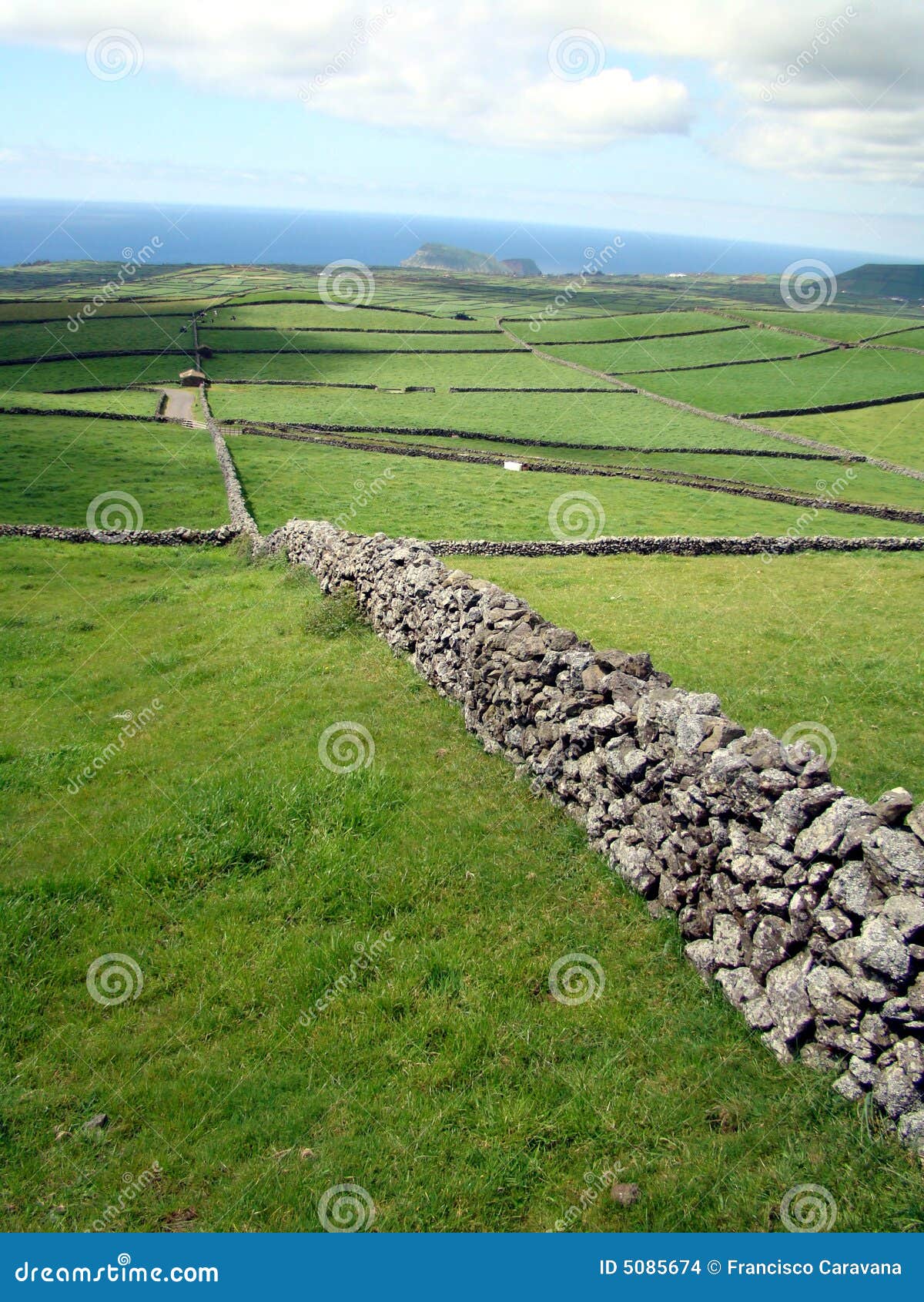 Green Fields, Ocean and Sky Stock Photo - Image of bright, tourist: 5085674
