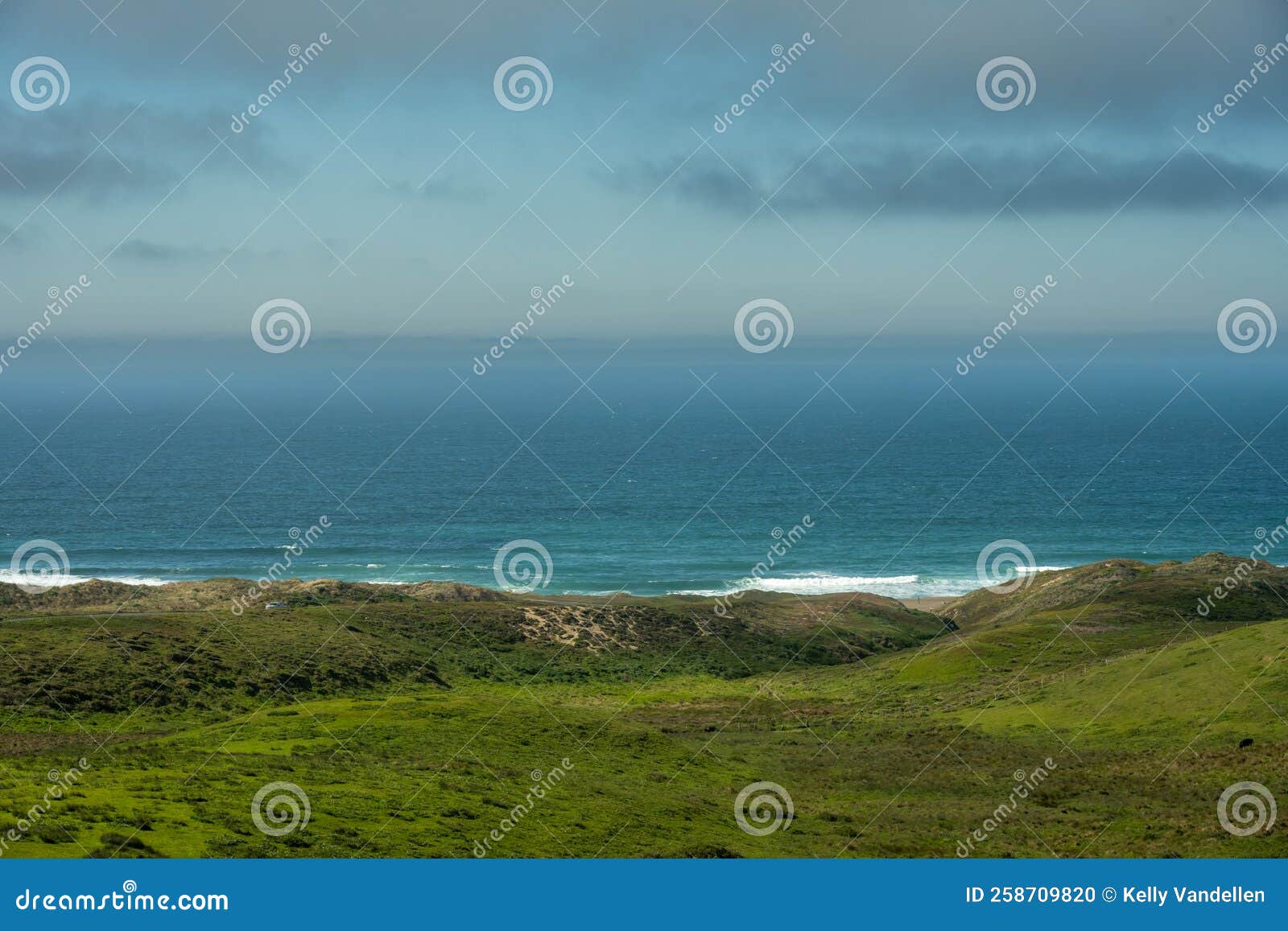 Green Fields Roll into the Pacific Ocean at Point Reyes Stock Photo ...