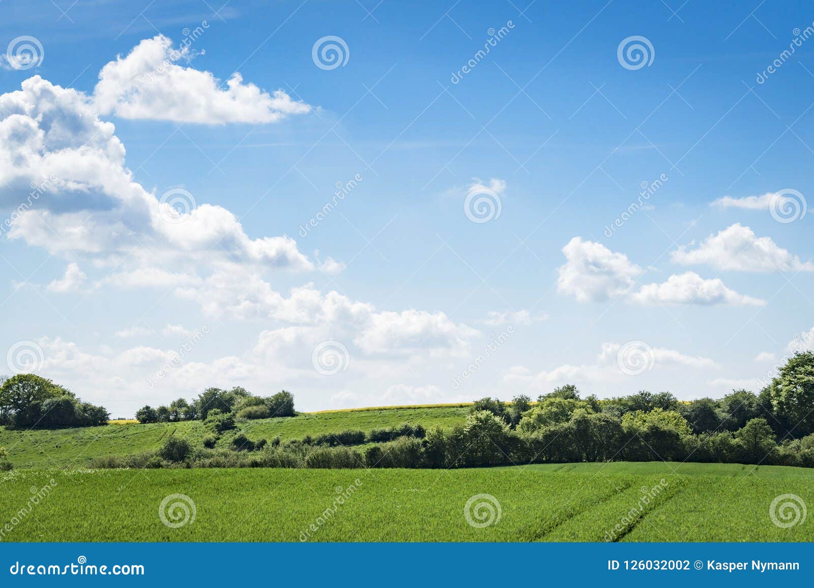 Green Fields in Rural Environment in the Spring Stock Photo - Image of ...