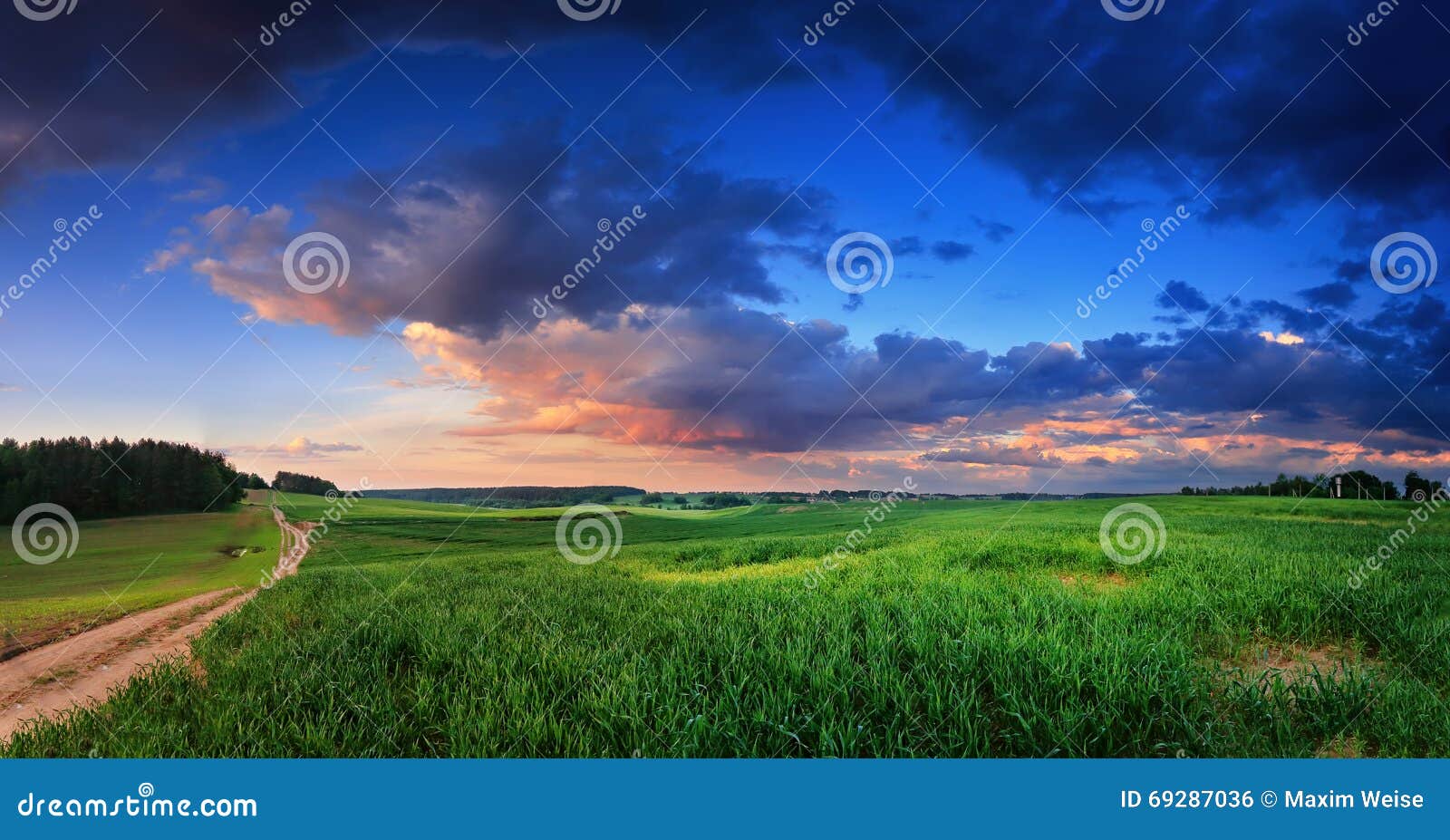 Green Fields after Spring Rain Stock Photo - Image of crop, road: 69287036
