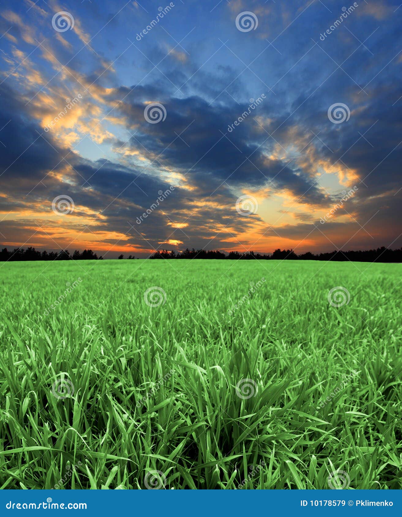 Green Fields with Sunset Sky Stock Image - Image of beautiful, fresh ...