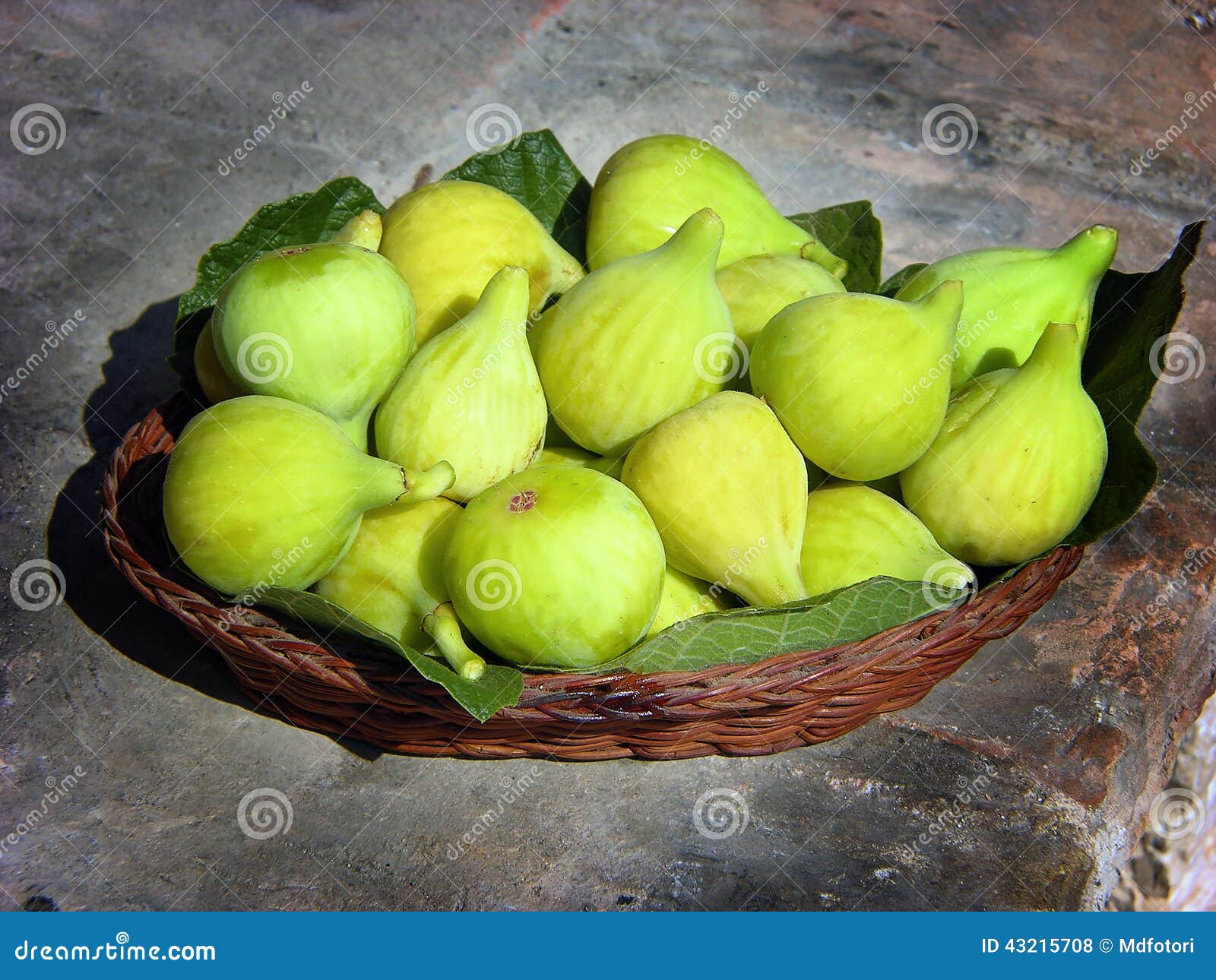 Green Figs stock photo. Image of dryness, mature, arugula - 43215708