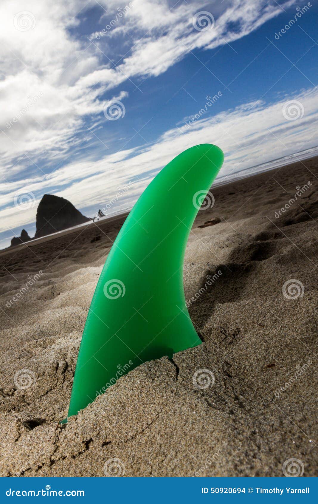 Green Fin stock photo. Image of land, cannon, board, shark - 50920694