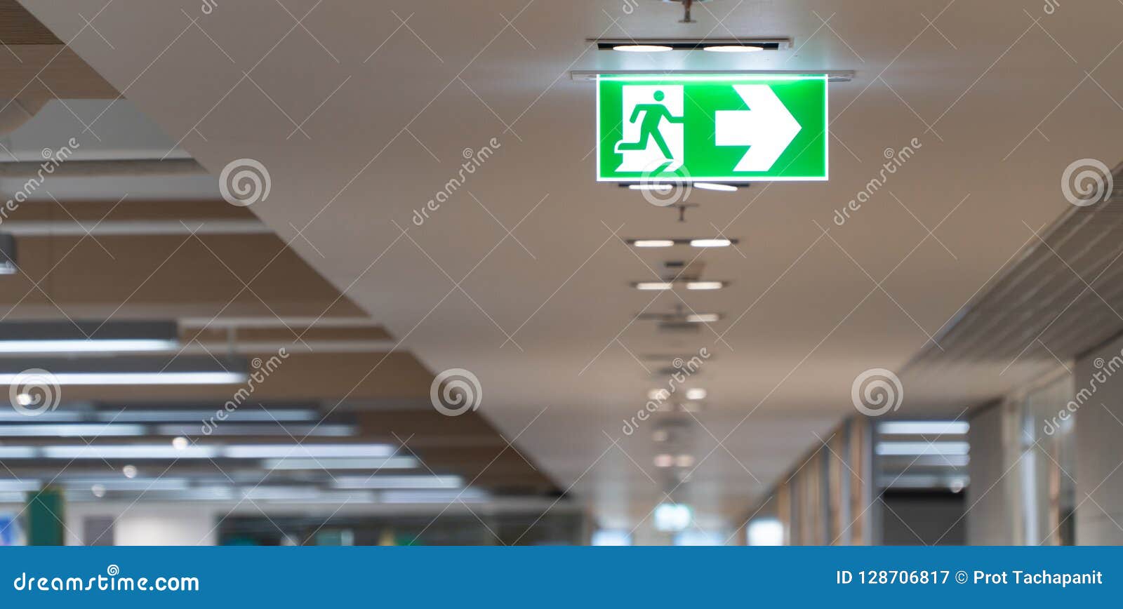 Green Fire Escape Sign Hang on the Ceiling in the Office. Stock Image ...