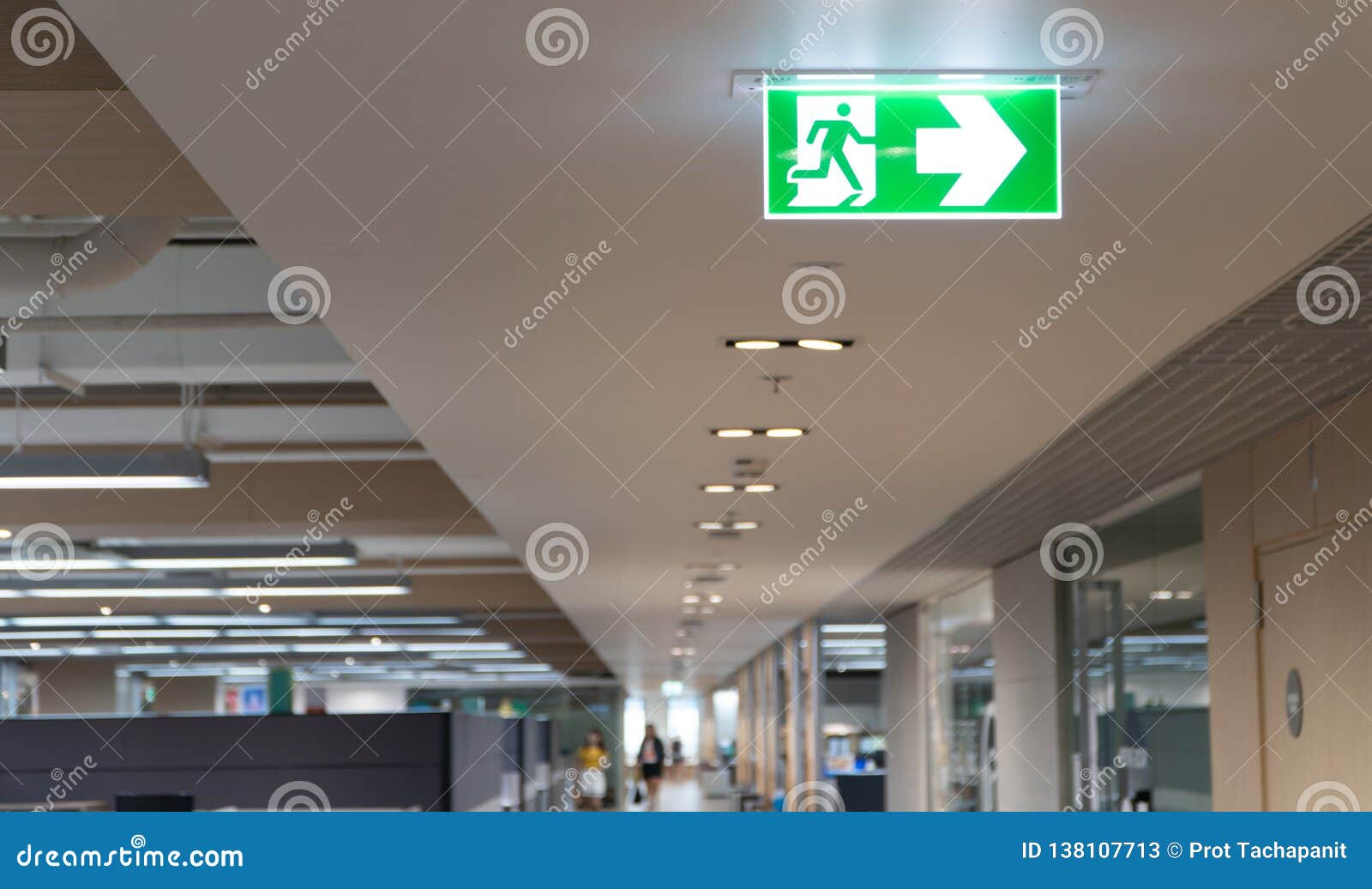 Green Fire Escape Sign Hang on the Ceiling in the Office Stock Image ...