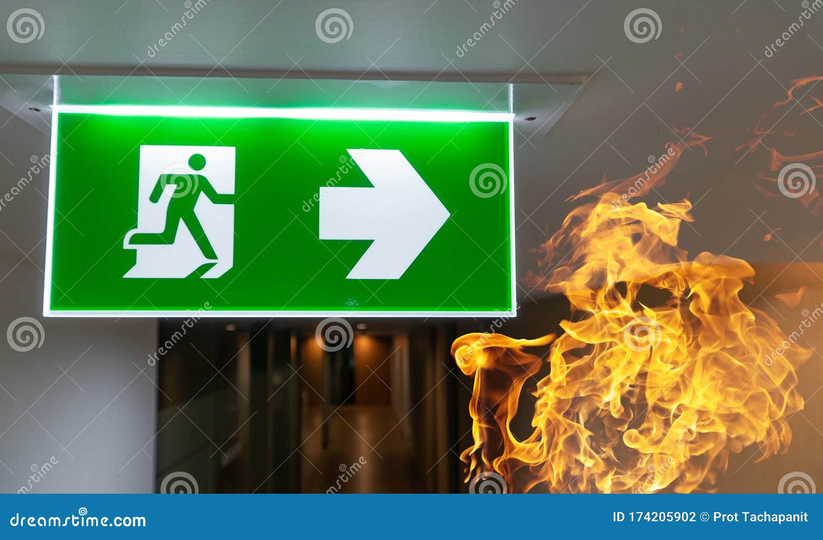Green Fire Escape Sign Hang on the Ceiling in the Office Stock Photo ...