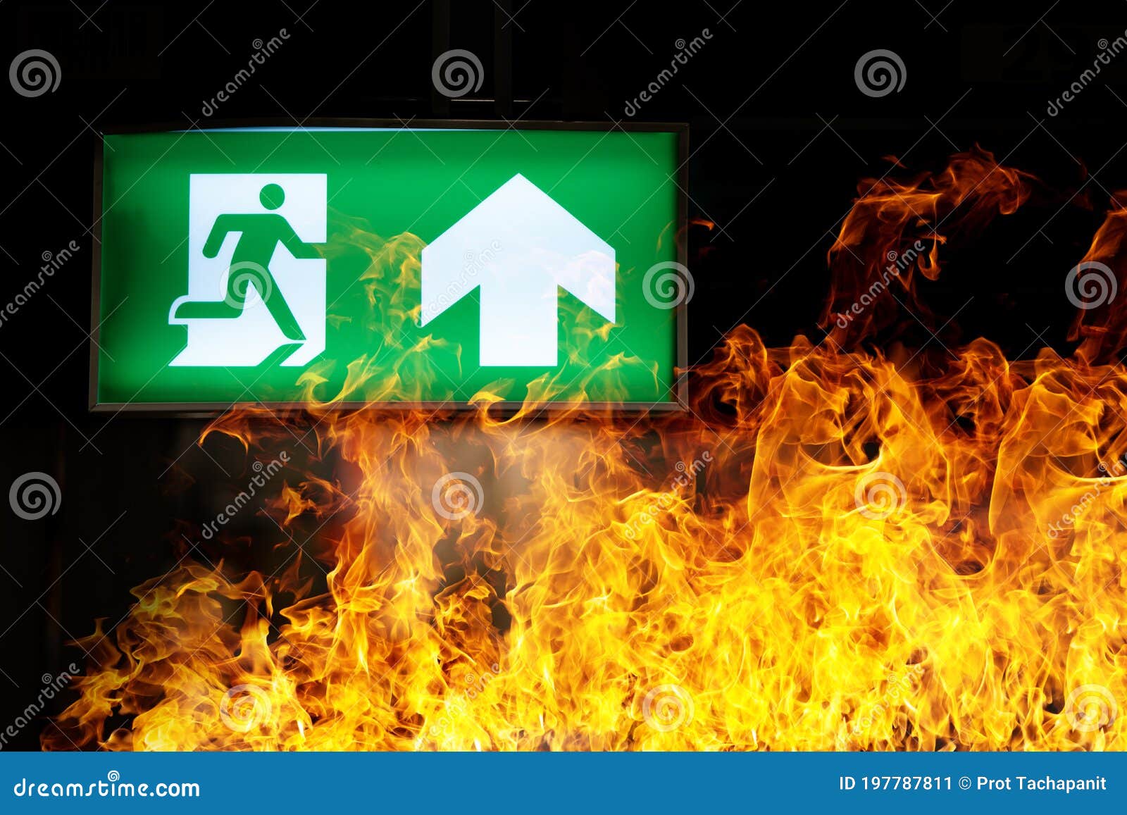 Green Fire Escape Sign Hang on the Ceiling in the Warehouse. the ...