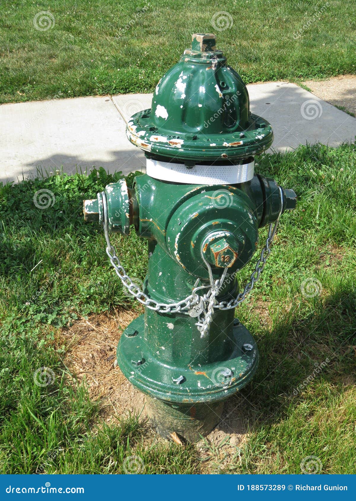 Green Fire Hydrant in the Neighborhood Stock Image - Image of summer ...