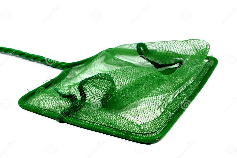 Green Fish Net stock photo. Image of netting, fishing - 26213746