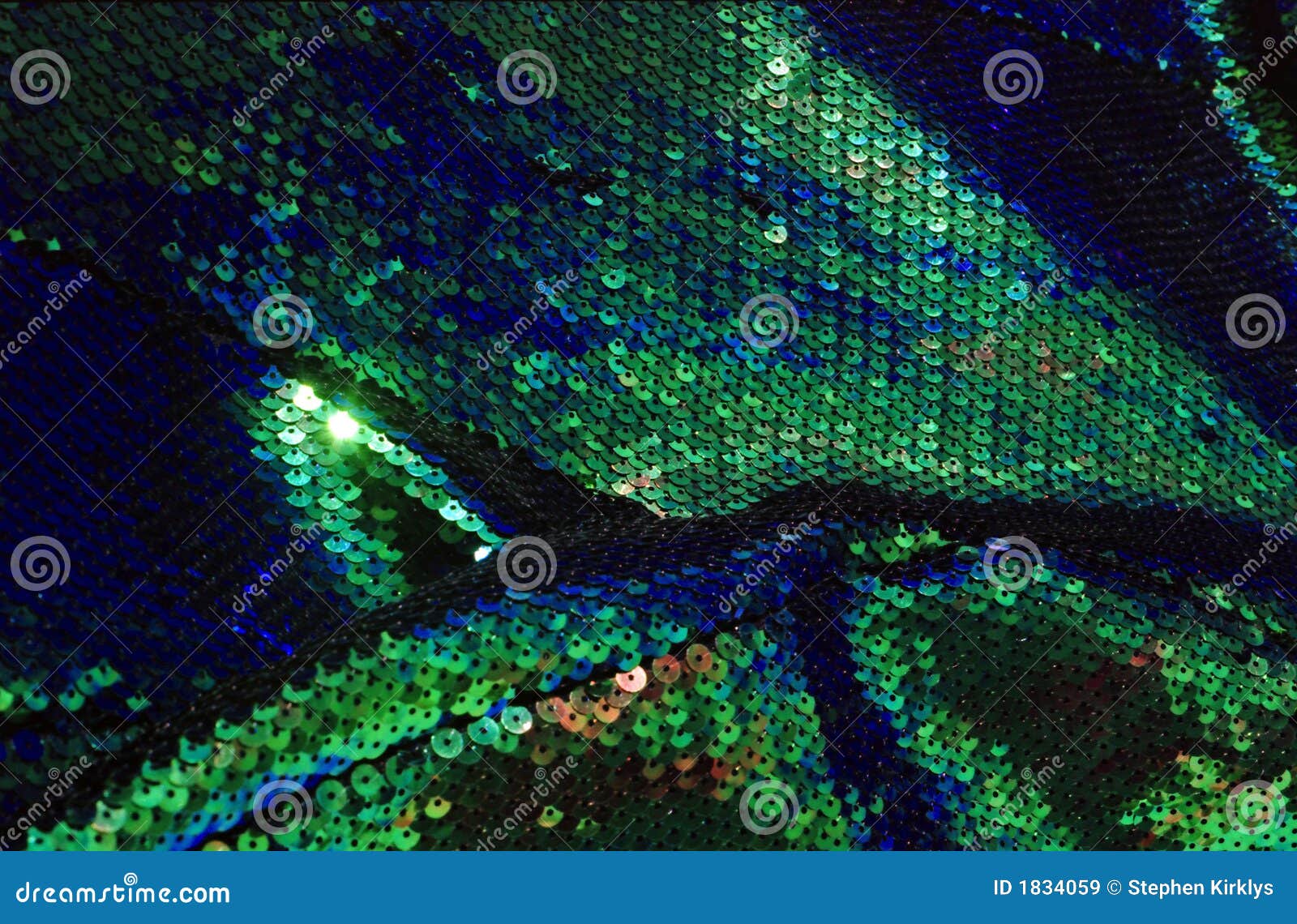 The Fish Scale Close Up. Real Ide Fish Scales Background Royalty-Free ...