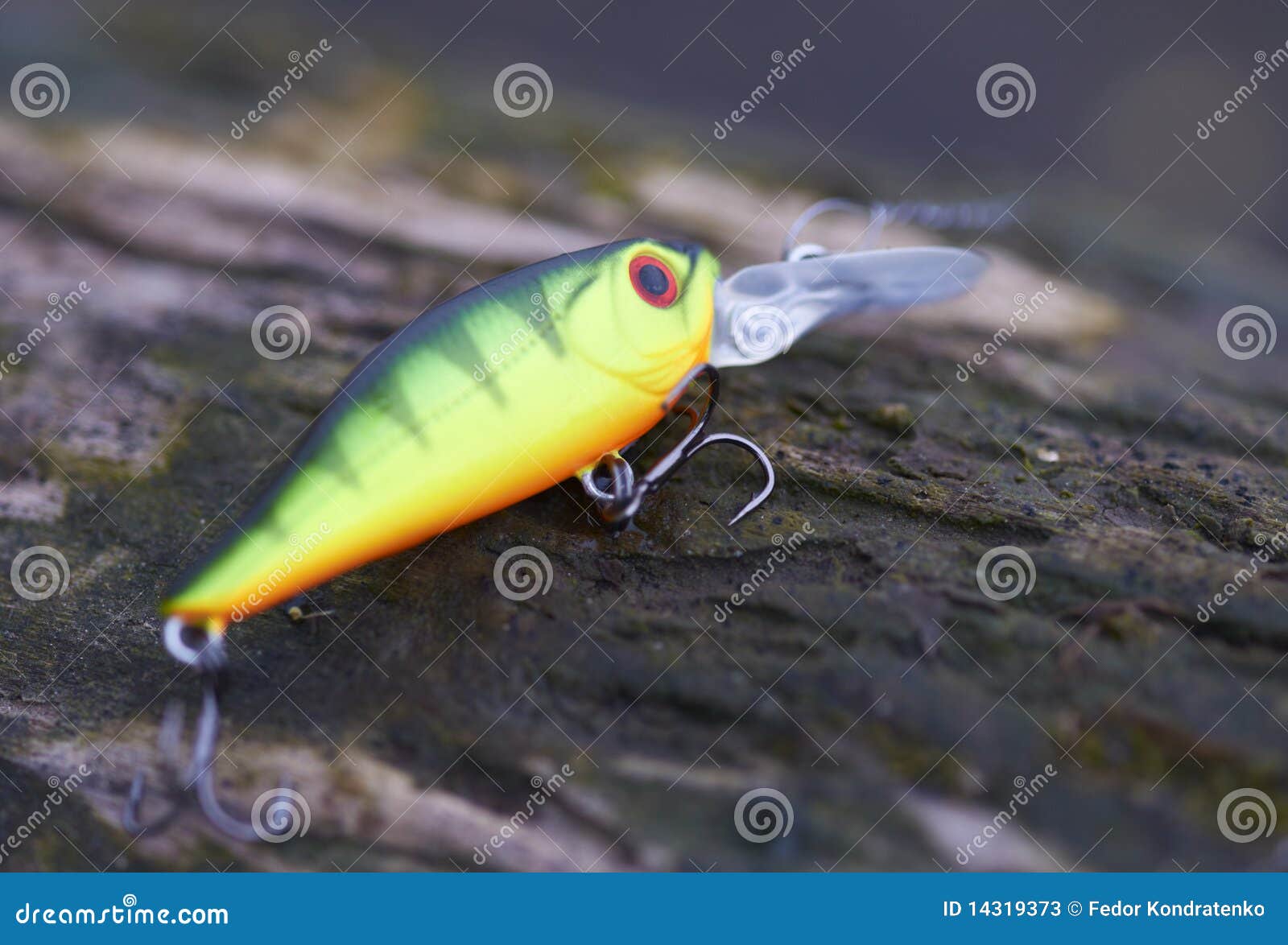 Green fishing bait stock image. Image of closeup, fish - 14319373