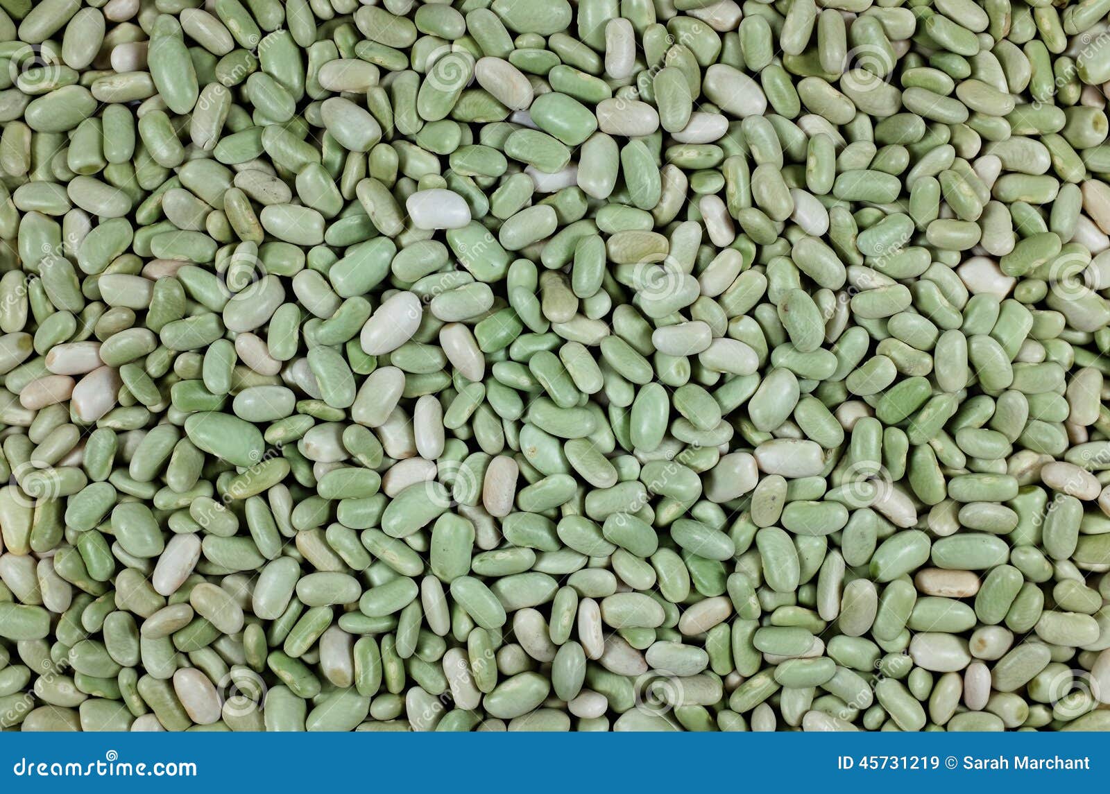 Green Flageolet Beans Background Royalty-Free Stock Photography ...