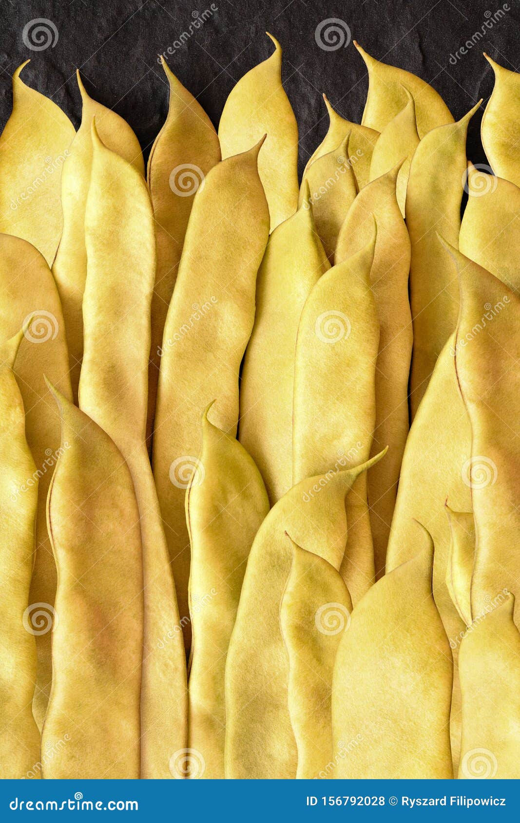 Gold Flat Beans in Pods Lie on a Stone Slab. Stock Photo - Image of ...