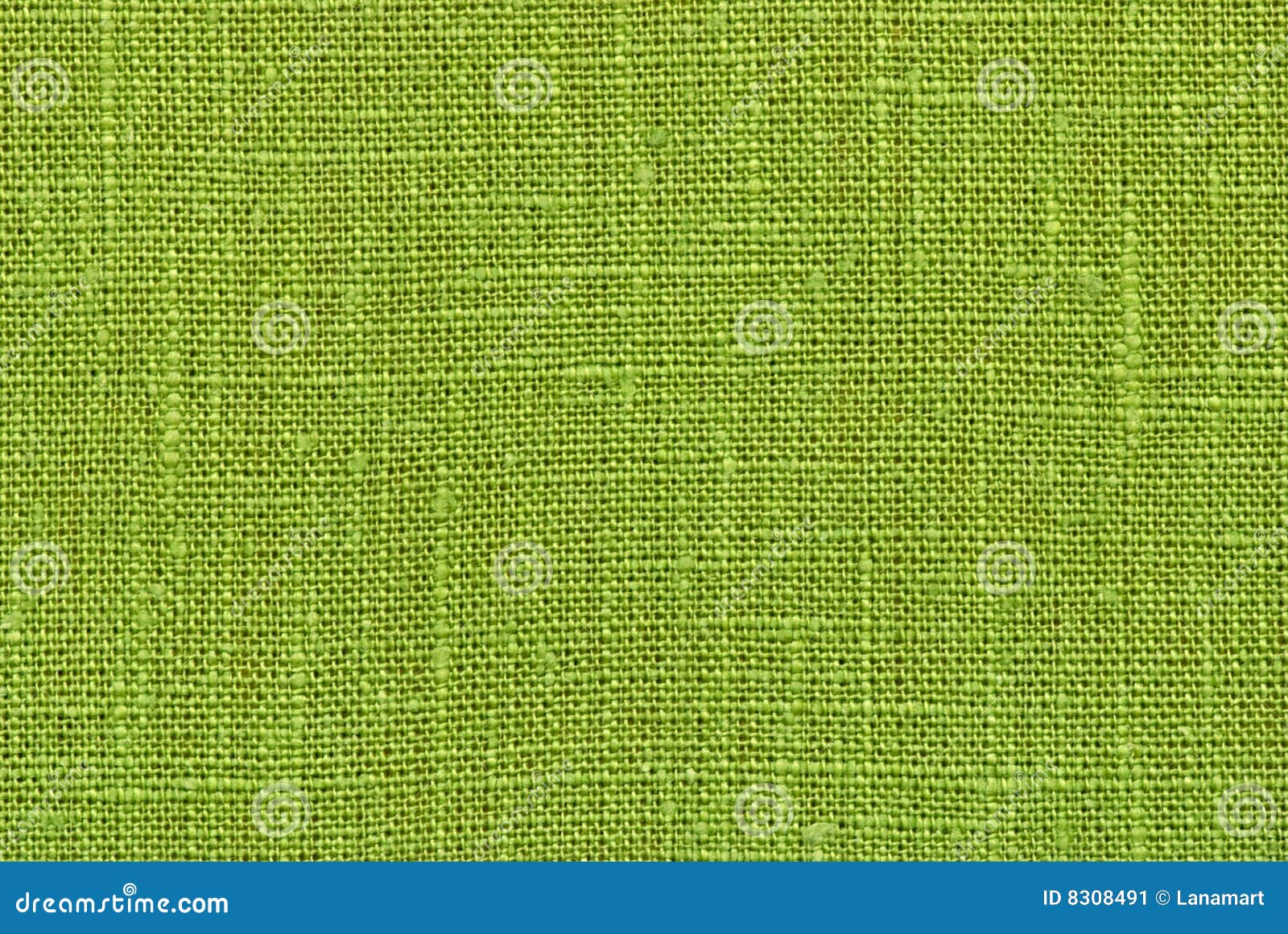 Green flax stock image. Image of fashion, retro, flax - 8308491