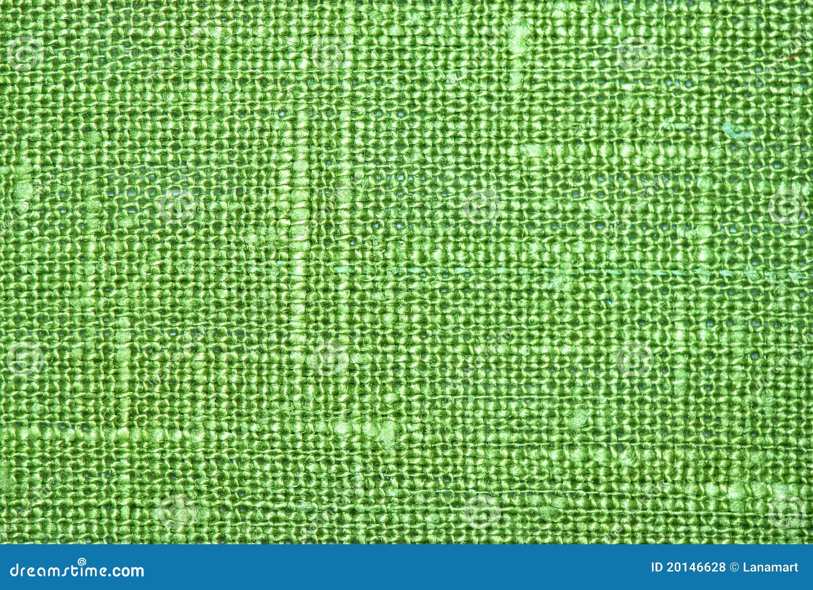 Green flax macro stock photo. Image of element, seamless - 20146628