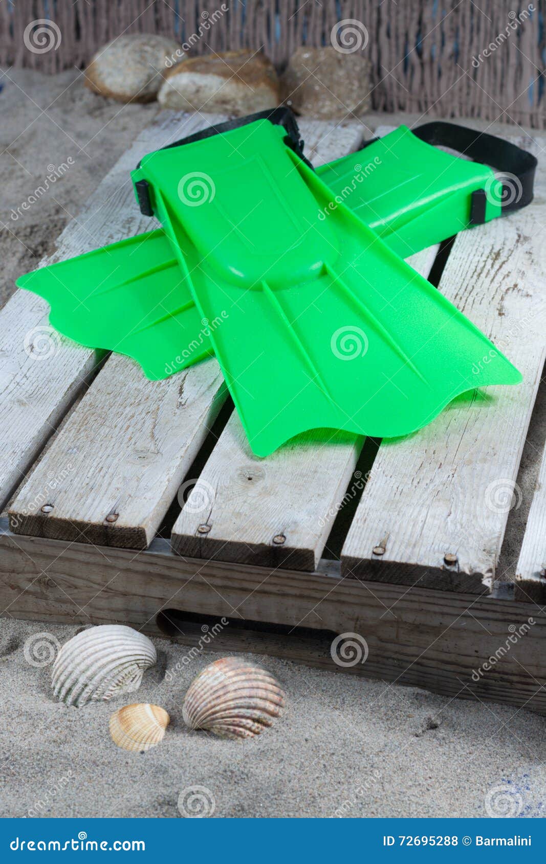 Green Flippers on the Sandy Beach Stock Photo - Image of lifestyle ...