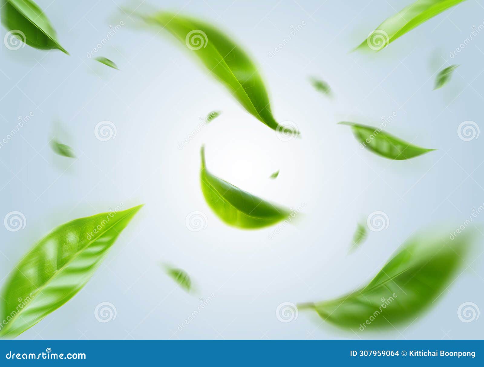 Green Floating Leaves Flying Leaves Green Leaf Dancing Stock ...