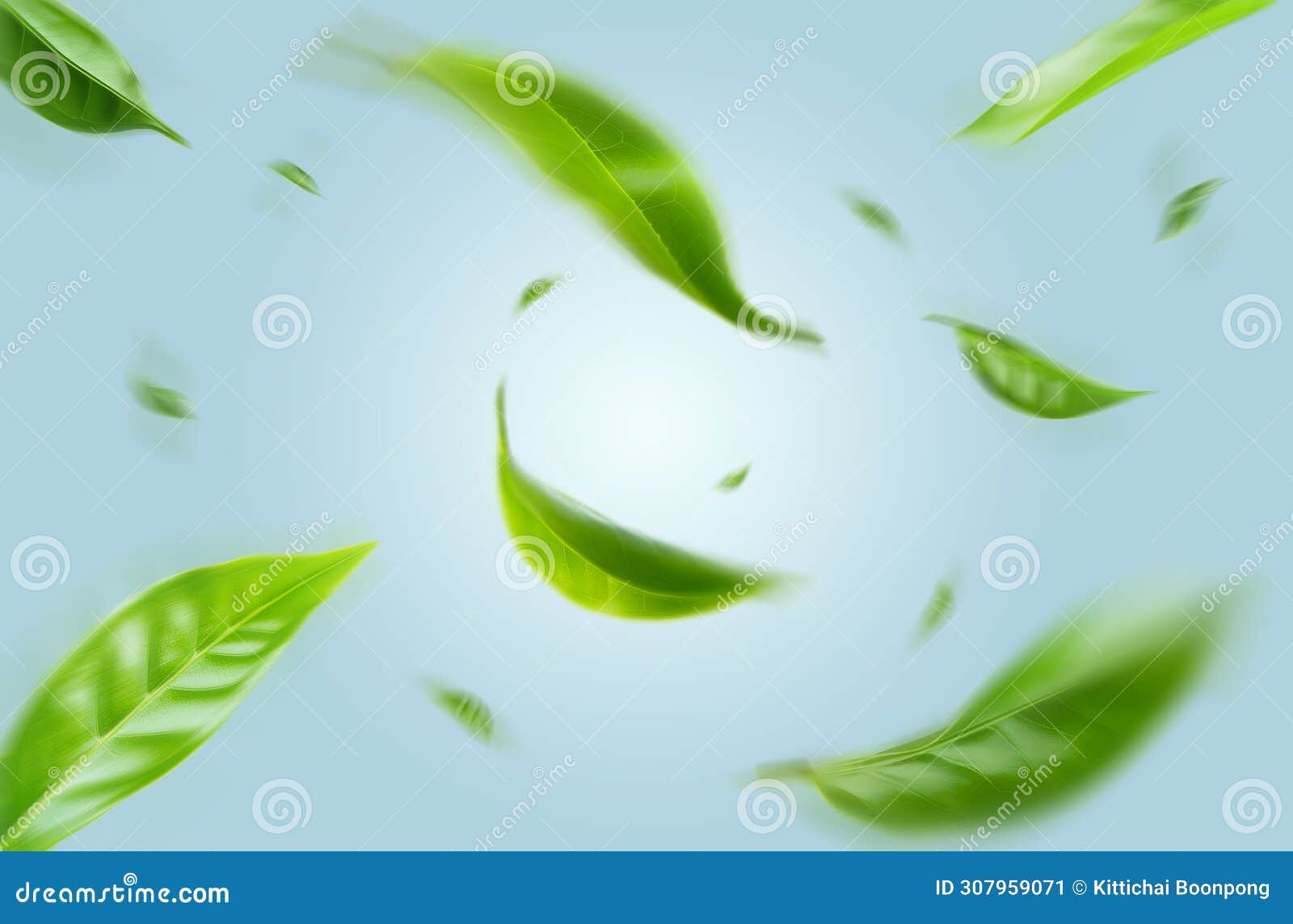 Green Floating Leaves Flying Leaves Green Leaf Dancing Stock ...