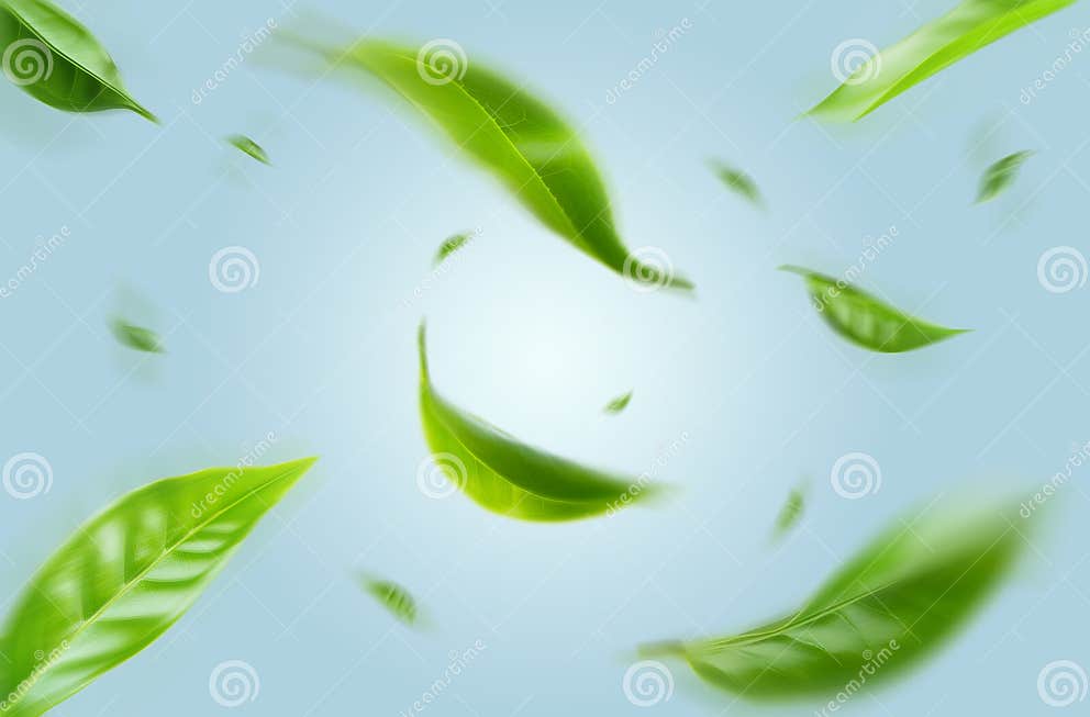 Green Floating Leaves Flying Leaves Green Leaf Dancing Stock ...