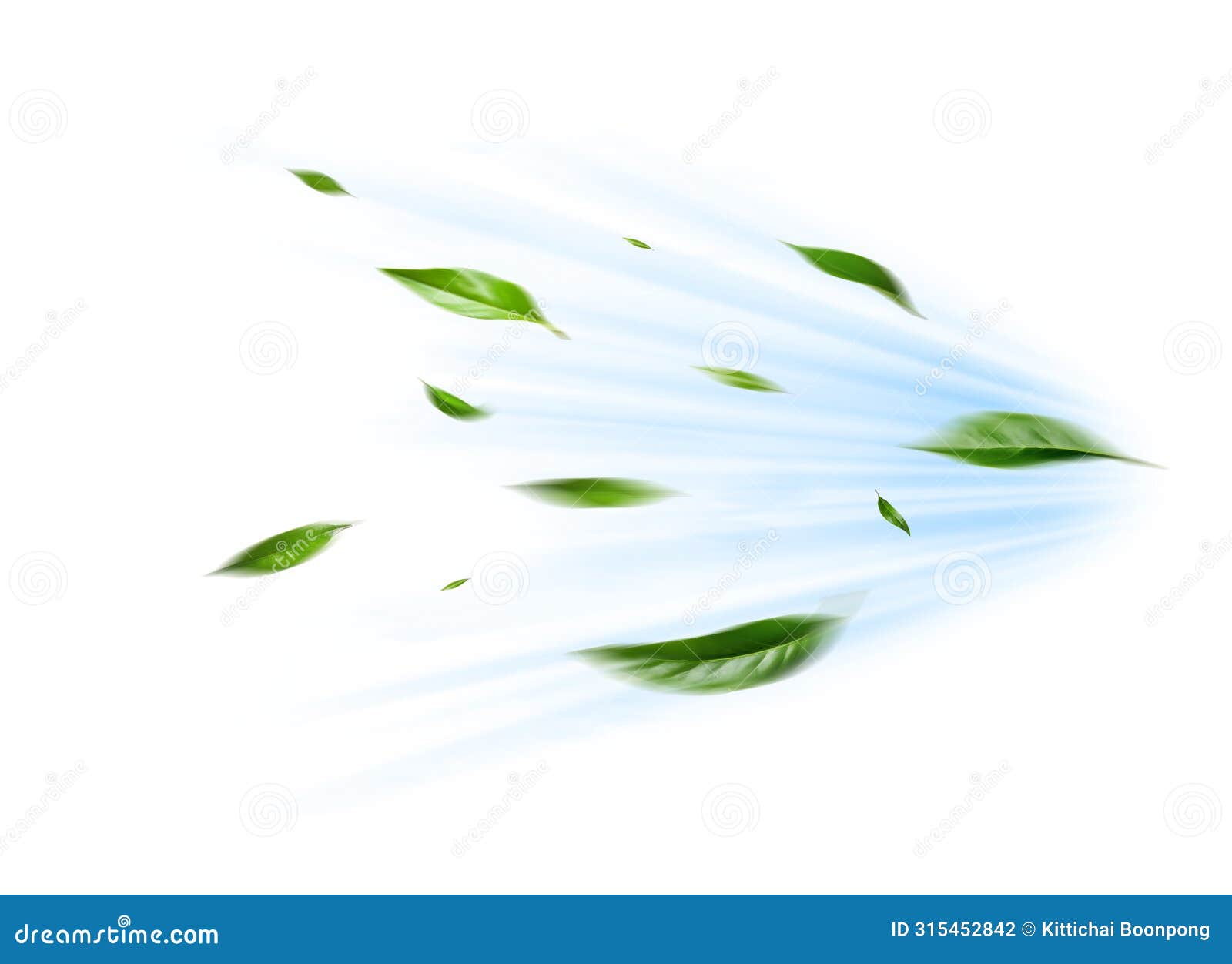 Green Floating Leaves Flying Leaves Green Leaf Dancing on White ...