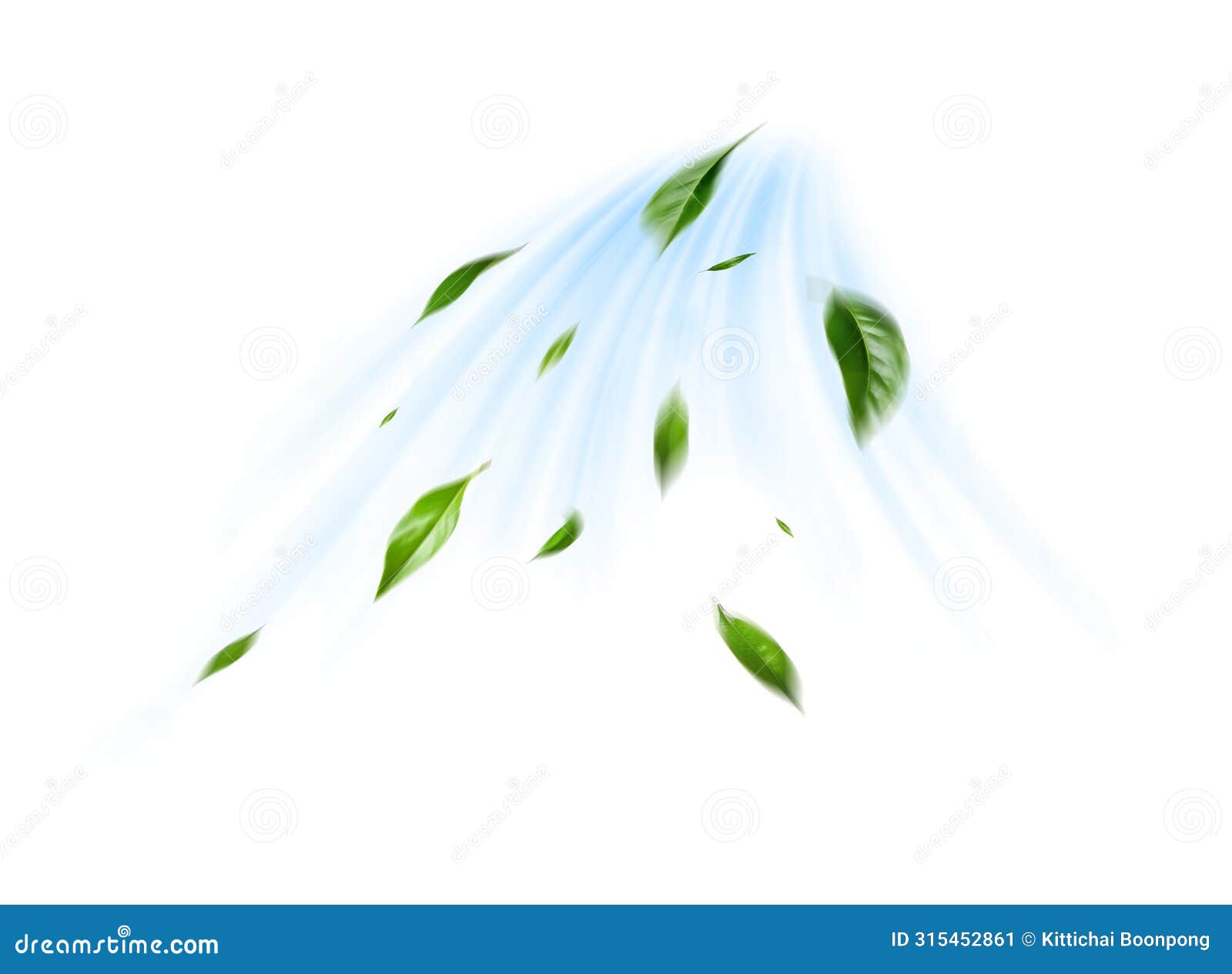 Green Floating Leaves Flying Leaves Green Leaf Dancing on White ...
