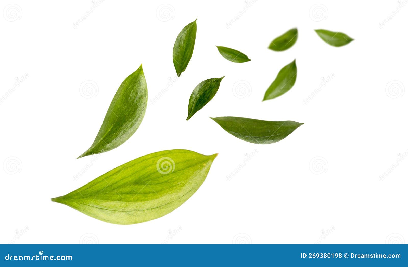 Green Floating Leaves Flying Leaves Green Leaf Dancing, Air Purifier ...