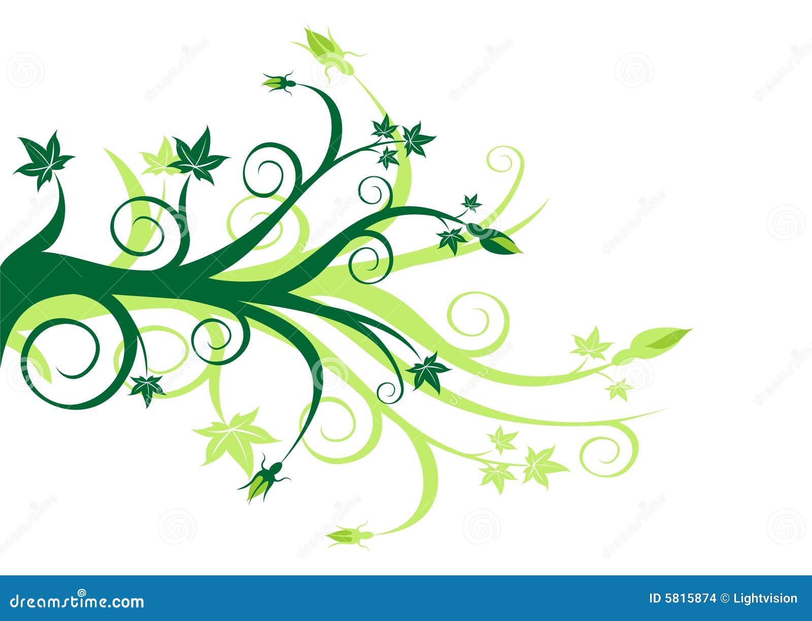Green Floral stock vector. Illustration of stripe, flourishes - 5815874