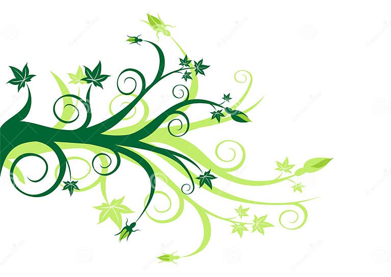 Green Floral stock vector. Illustration of stripe, flourishes - 5815874