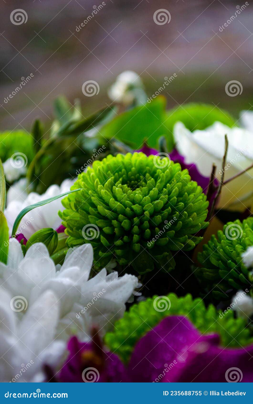 Green Flower among the Bouquet Other Flowers Stock Image - Image of ...