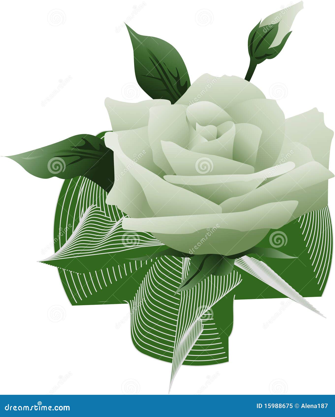Green flower rose stock illustration. Illustration of graphic - 15988675