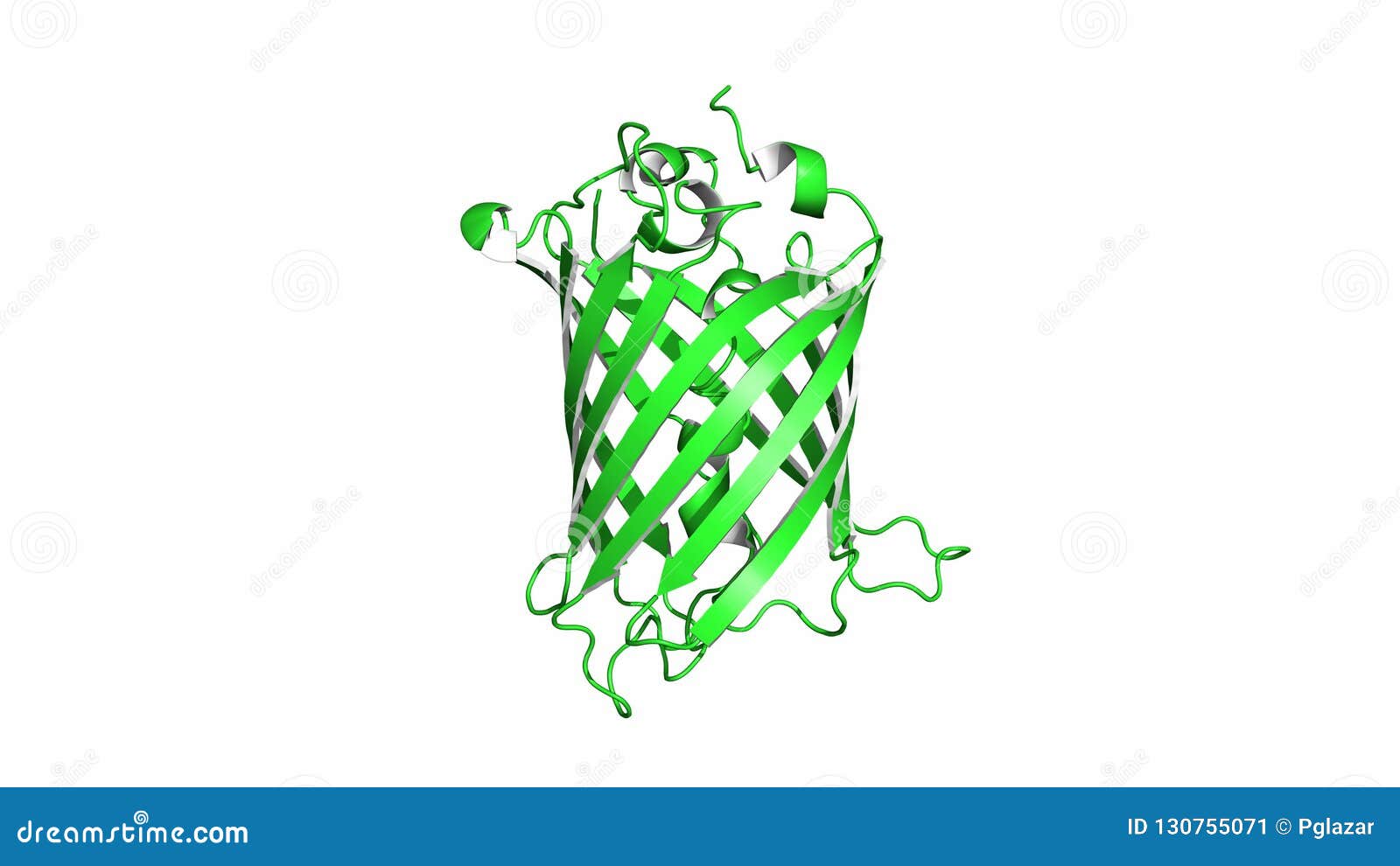 Green Fluorescent Protein, Rotating Model Stock Video - Video of ...