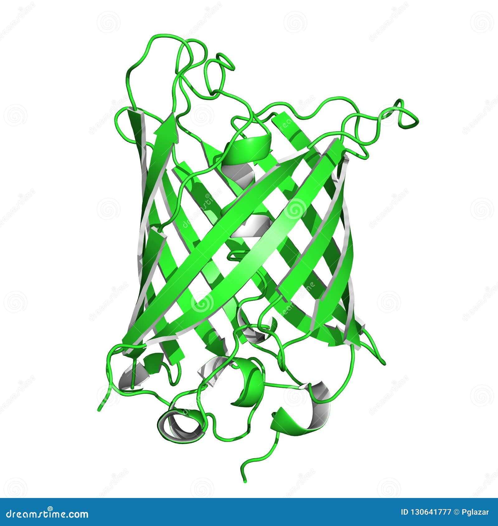 Green Fluorescent Protein Model Stock Illustration - Illustration of ...