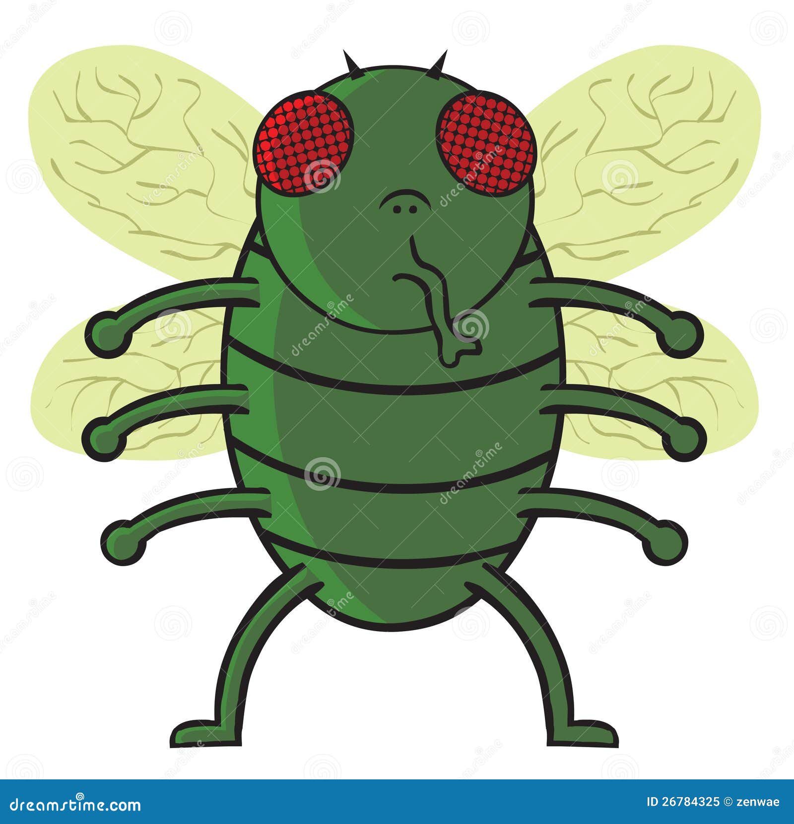 Green fly stock vector. Illustration of isolated, wing - 26784325