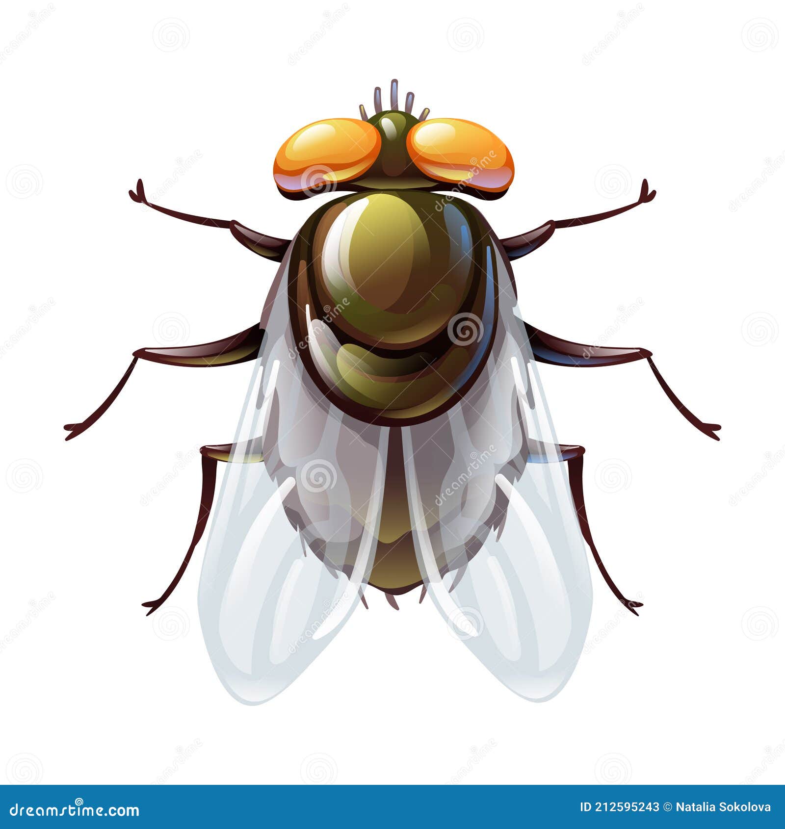 Green Fly Bug in Cartoon Style, Stylized Insect Stock Vector ...