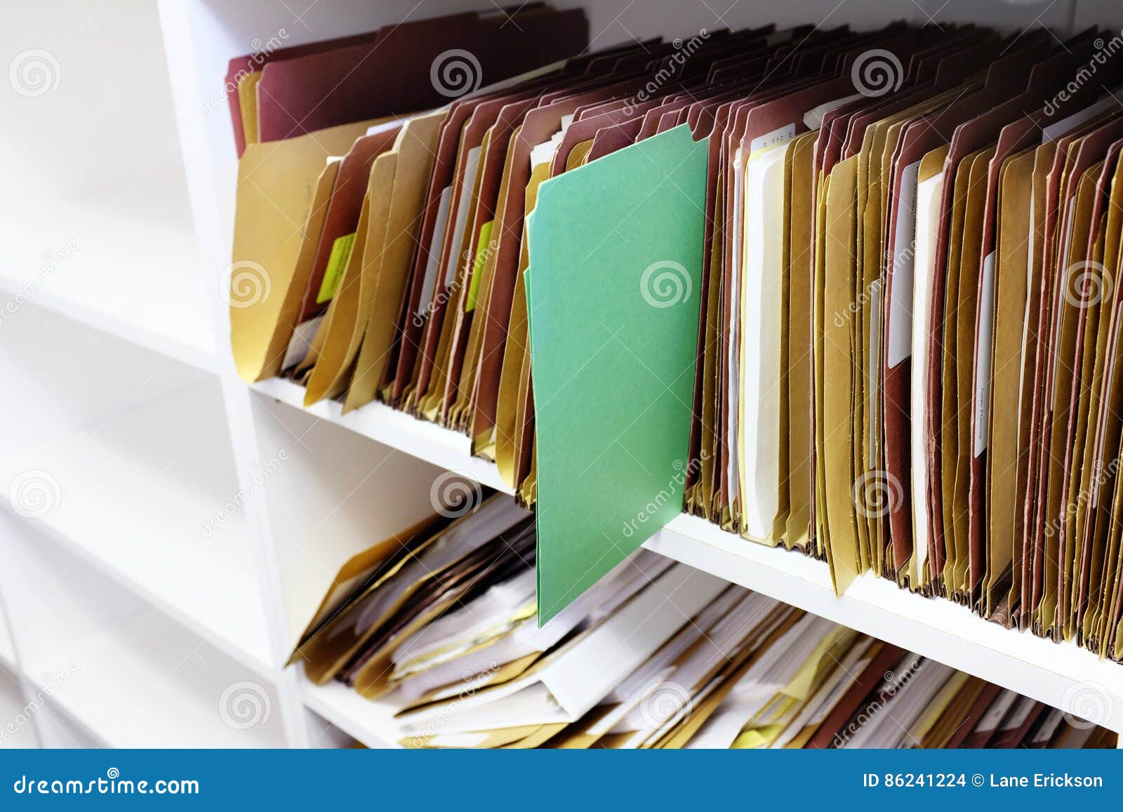 Folder With Files-Registrar Of Archival Records, Glasses, Pen ...