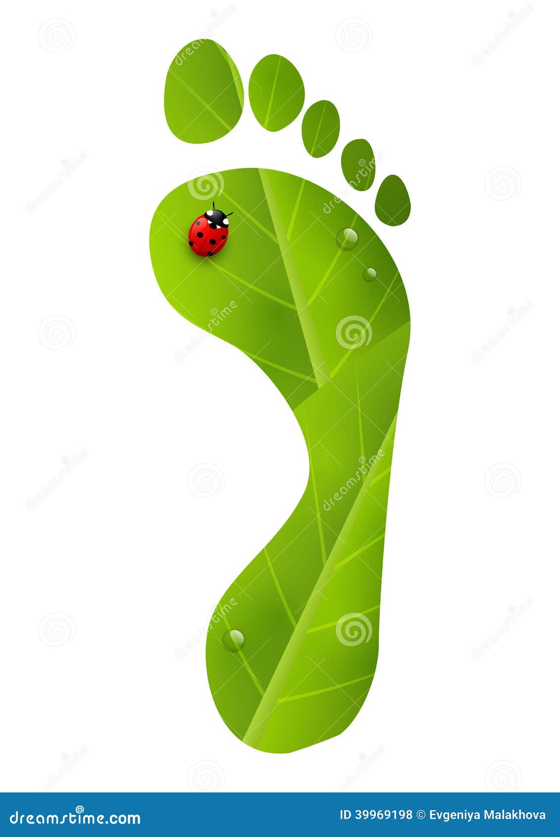Exploring Ladybug Stock Image Image Of Ladybug Foot