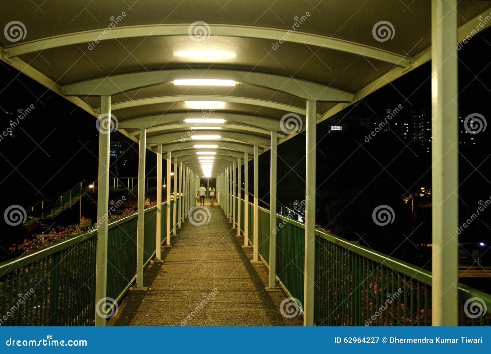 Green Footpath Overpass for Pedestrian Stock Image - Image of ...