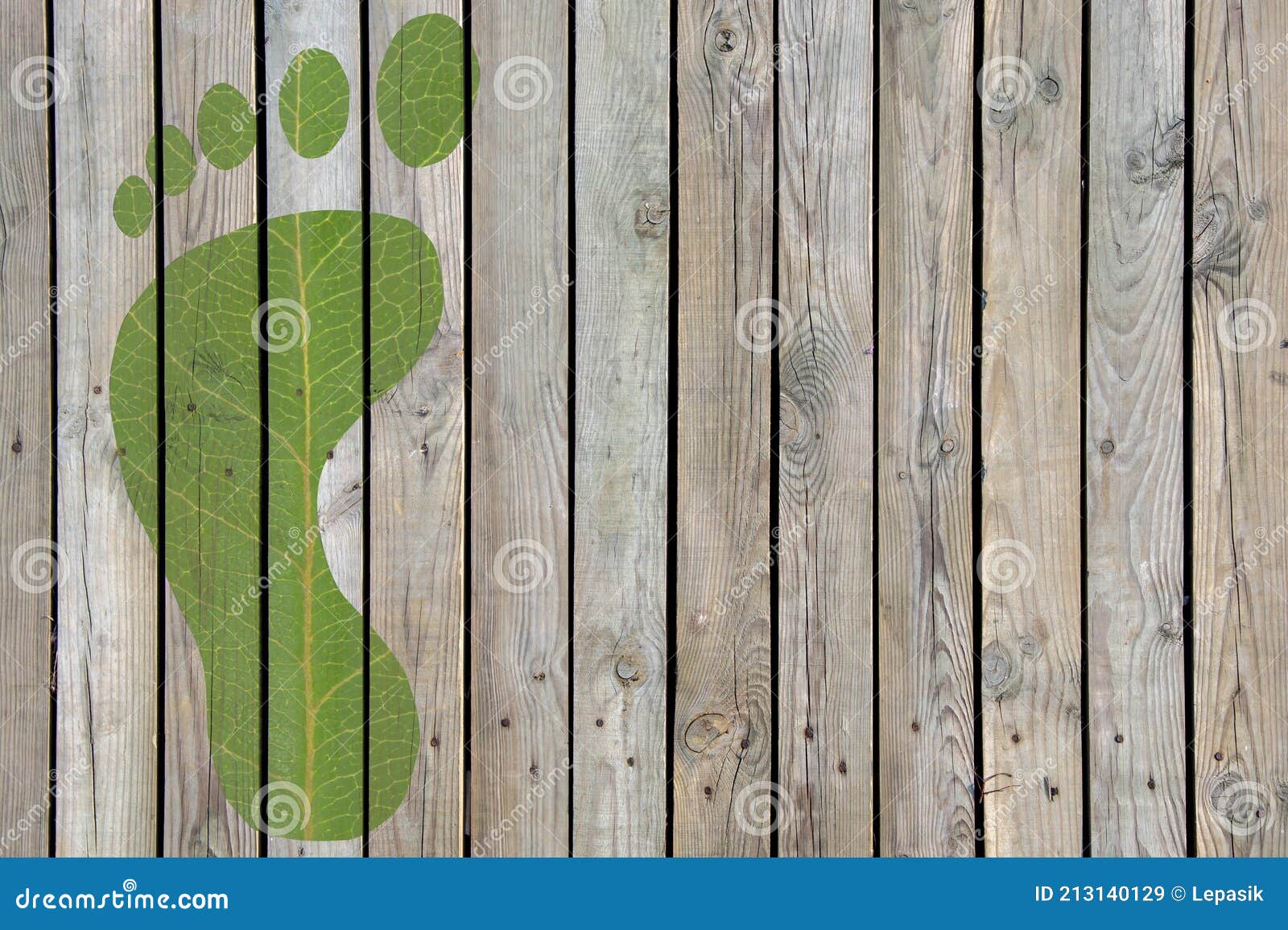 Green Footprints with the Texture of a Tree Leaf on the Plank Floor, a ...