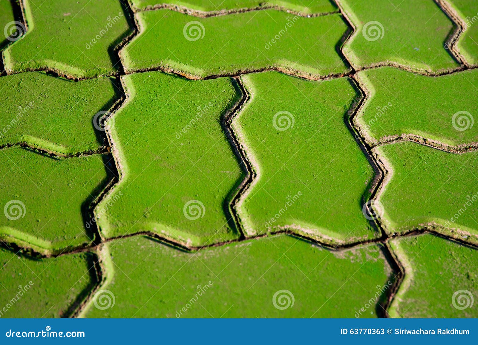 Green footway texture stock image. Image of ground, pave - 63770363