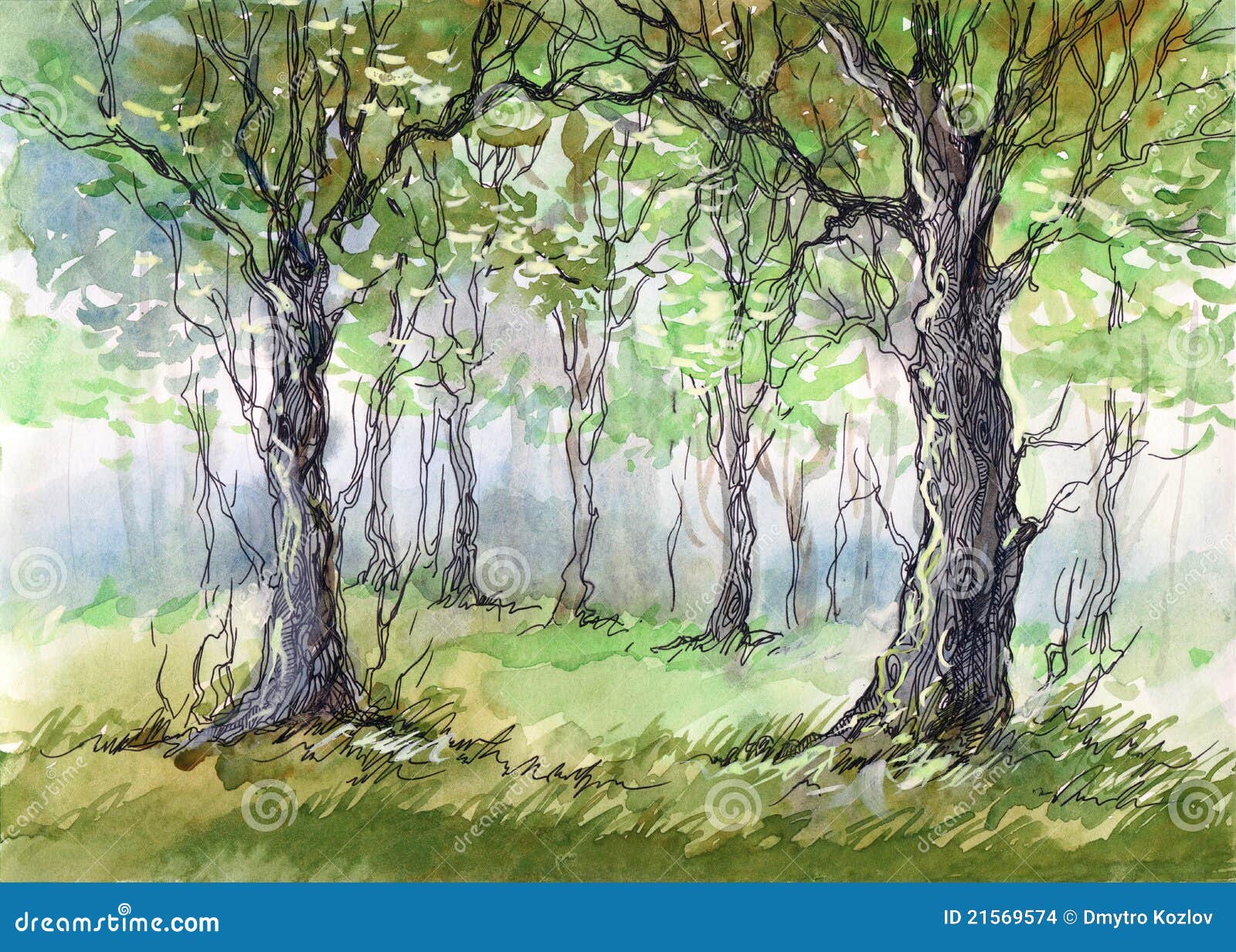 Green forest stock illustration. Illustration of tale - 21569574